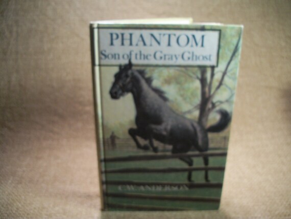 Book About Horses Horse Story Phantom Son of the Gray