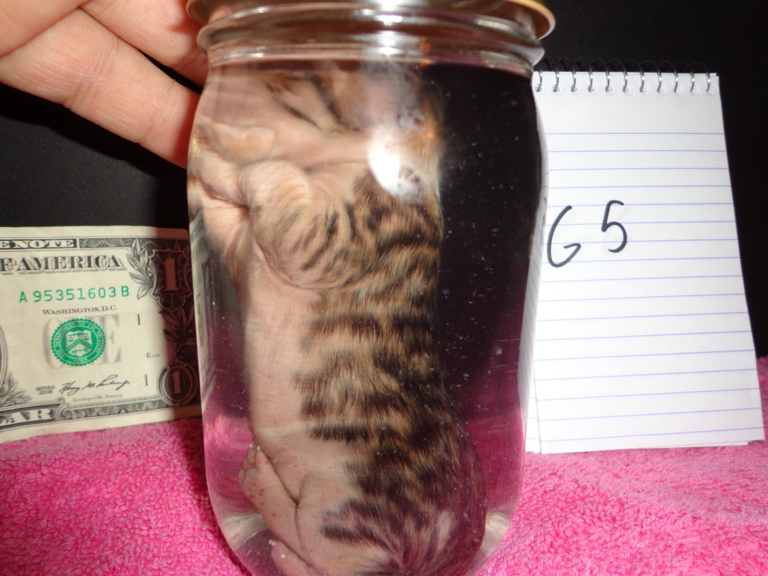 Etsy - Your place to buy and sell all things handmade, vintage, and ...