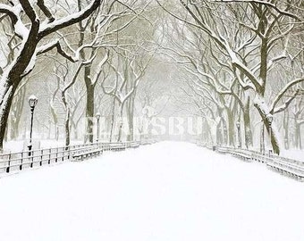 Snow scene backdrop | Etsy