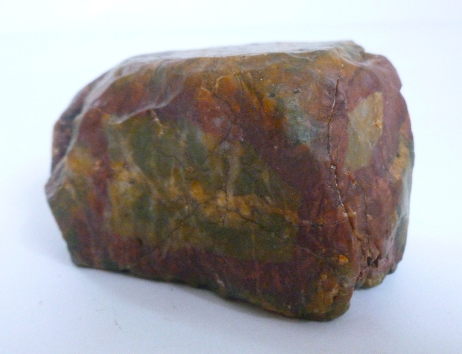 Prehistoric Petrified Fossilized Wood Rock Stone by JoeBlake