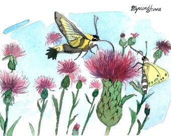 Hummingbird moth | Etsy