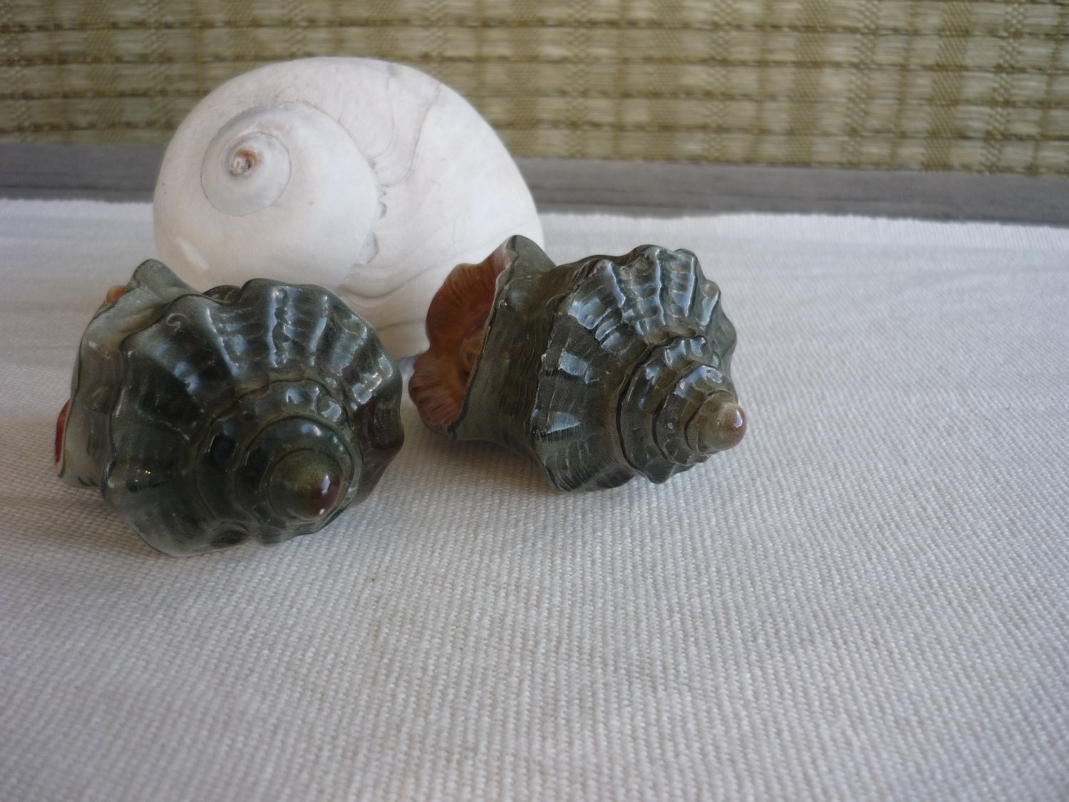 Vintage Ceramic Shell Salt and Pepper Set, Nautical Table Decor – Haute ...