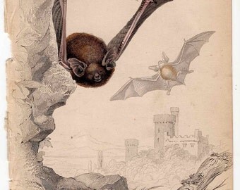 Popular items for bat engraving on Etsy