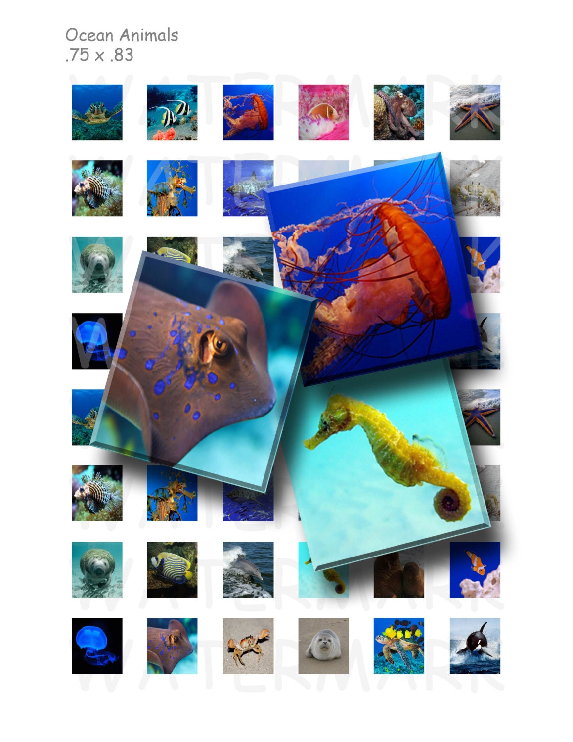 Ocean Animals Digital Collage Sheet .75 x .83 by OldMarket