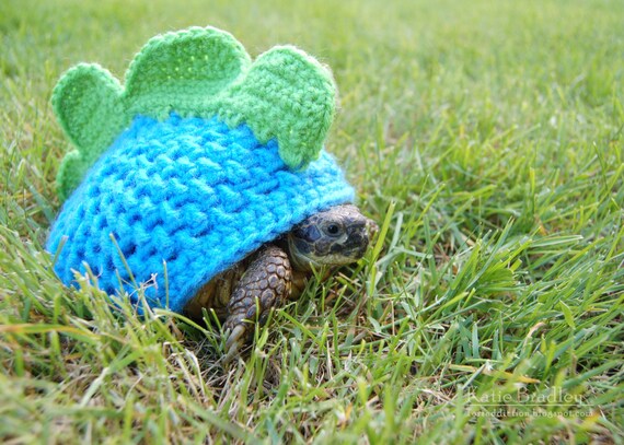 This Cozy House : r/CozyPlaces