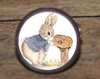 Peter rabbit brooch | Etsy