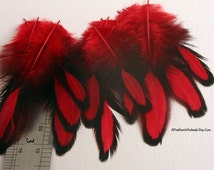 Unique red feathers related items | Etsy