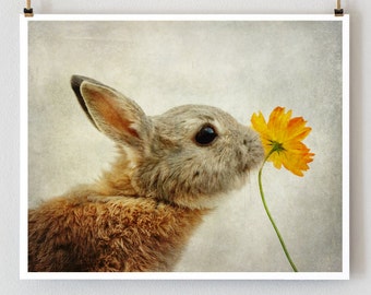 Zen bunny | Etsy