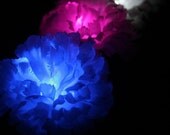 ZuZu Flowers the Light-up LED Hair Clip by LEDlutions on Etsy