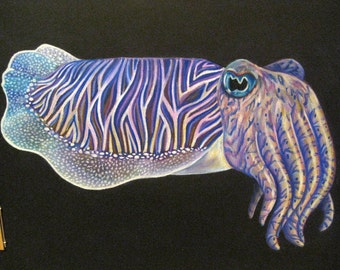 Original Prismacolor Colored Pencil Drawing of a Blue Stripped ...