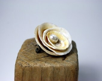 Popular items for seashell rose on Etsy