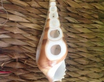 Popular items for tibia on Etsy