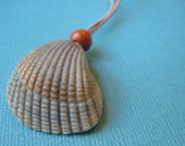 genuine Atlantic shell and sea glass jewelry by ReCurrents on Etsy
