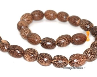 Bodhi tree seeds | Etsy