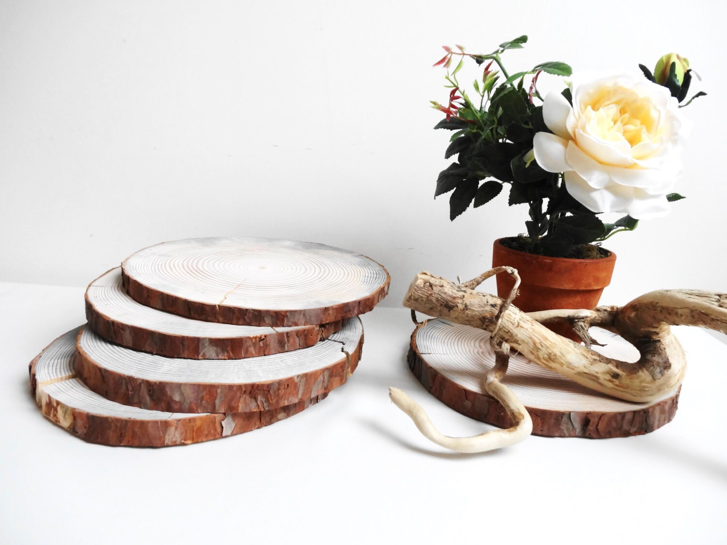 Wood Slabs Wood Slices Tree Slices Pine Wood Bark Wood