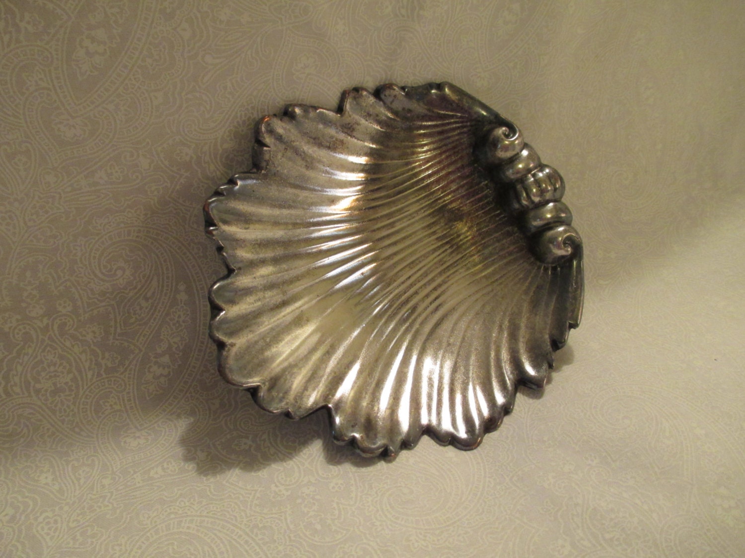 Shell Shaped Dish – Haute Juice