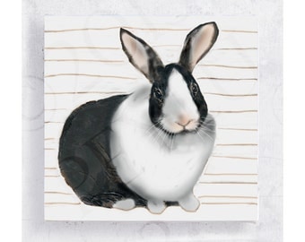 Dutch bunny rabbit | Etsy