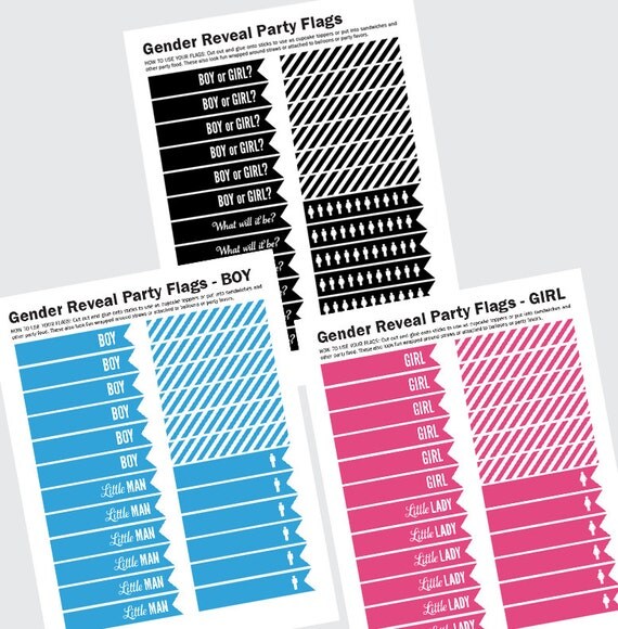 Baby Gender Reveal Party Flags Printable PDF