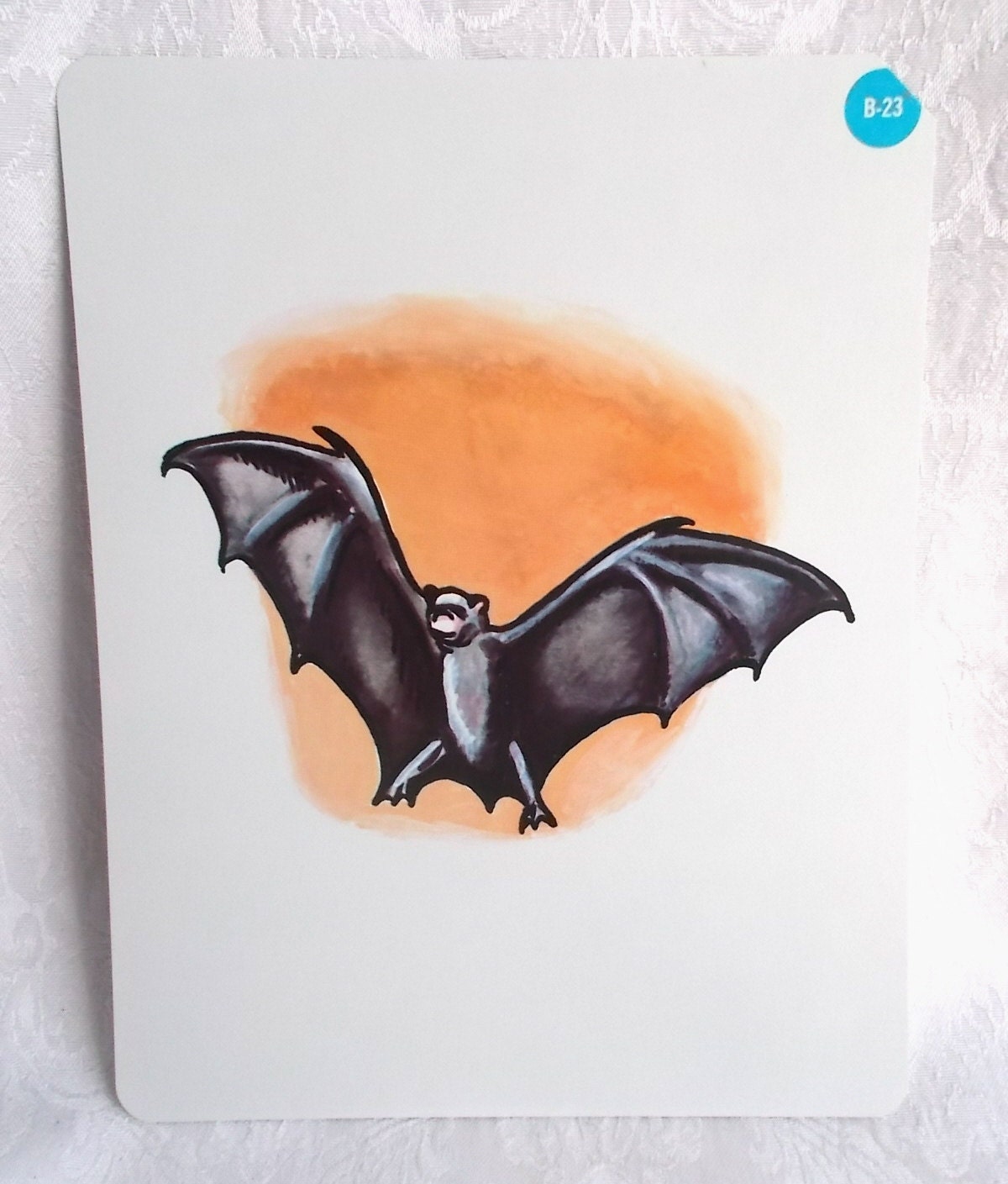 Large Picture Flash Card Bat Vintage 1965 Peabody Language
