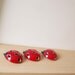 Ceramic ladybug sculpture red black ladybug wall hanging