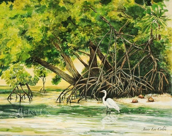 Mangrove art | Etsy