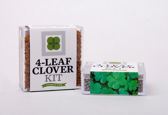 Lucky 4-Leaf Clover Kit Grow a 4-Leafed-Clover Shamrock