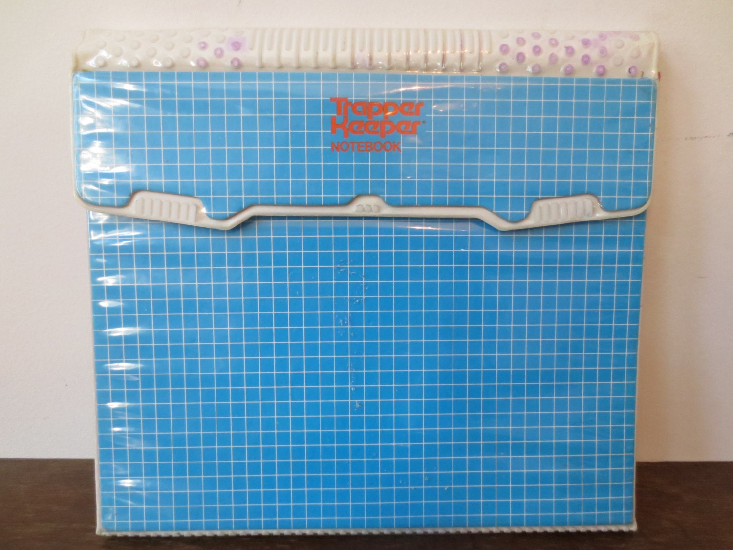80s Trapper Keeper Blue with White Grid