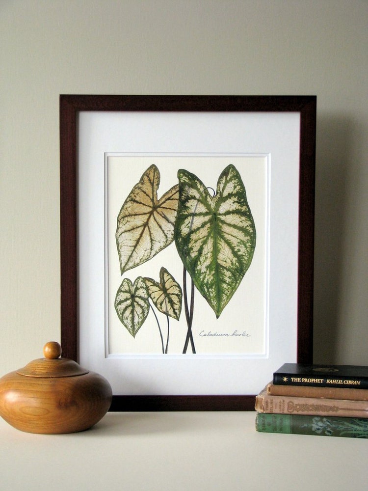 Pressed leaf print 11x14 double matted by FlatFlowerDesigns