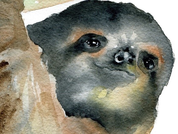 Sloth Watercolor Painting Giclee Print 7 x 5 by SusanWindsor