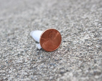 Evil Penny Mini Micro Cache Geocache Container + Log HTF Microcache ...