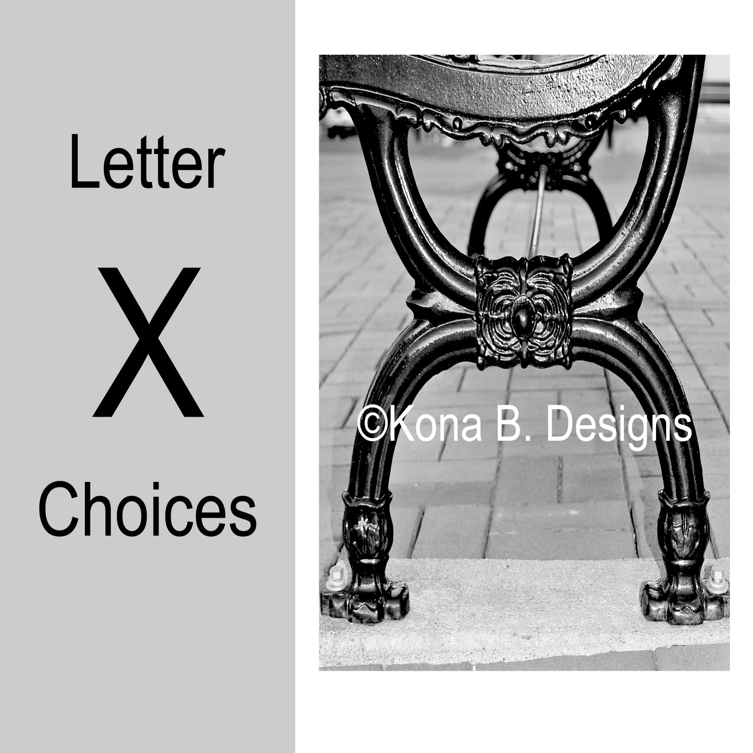 Letter X Alphabet Photography 4x6 Photo Letter