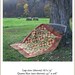 Branching Out Wall Hanging Quilt Pattern by QuiltLilyDesigns