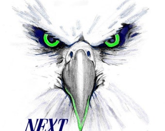 Seattle Seahawk Art print. A version of what is to come.