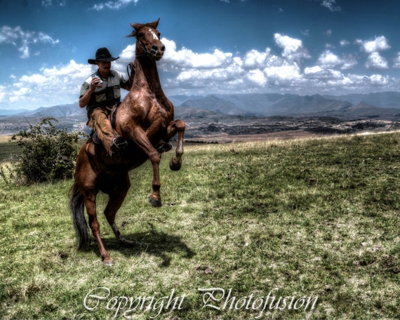 Articles similaires à Photo de cheval cabré, le Cowboy sur cheval de ...