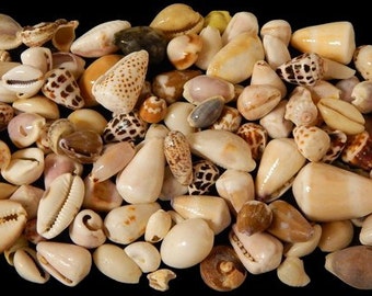 Capiz Shells W/Drilled Holes 2.5 Round 100-200