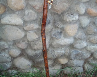 birch burlwood walking stick 57 by JimmysWoodcrafts on Etsy