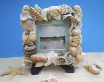 Items similar to Seashell Frame Shell Craft Kit - Make Your Own ...