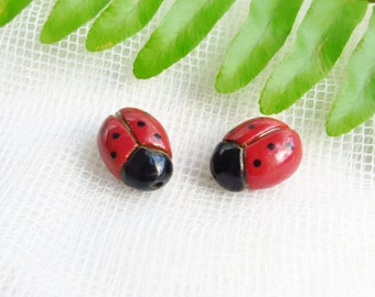 Popular items for ceramic ladybugs on Etsy