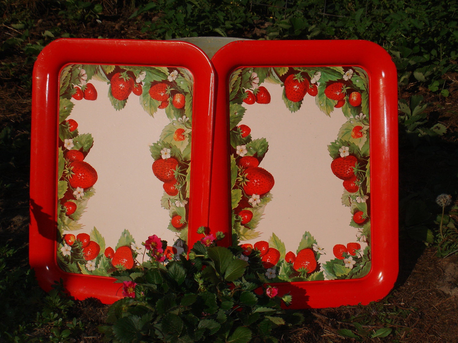 Free Ship Lot of 2 Large Strawberry Trays – Haute Juice