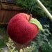 felt apple apples by Sonnentaucher on Etsy