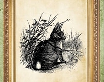 Popular items for vintage rabbit print on Etsy