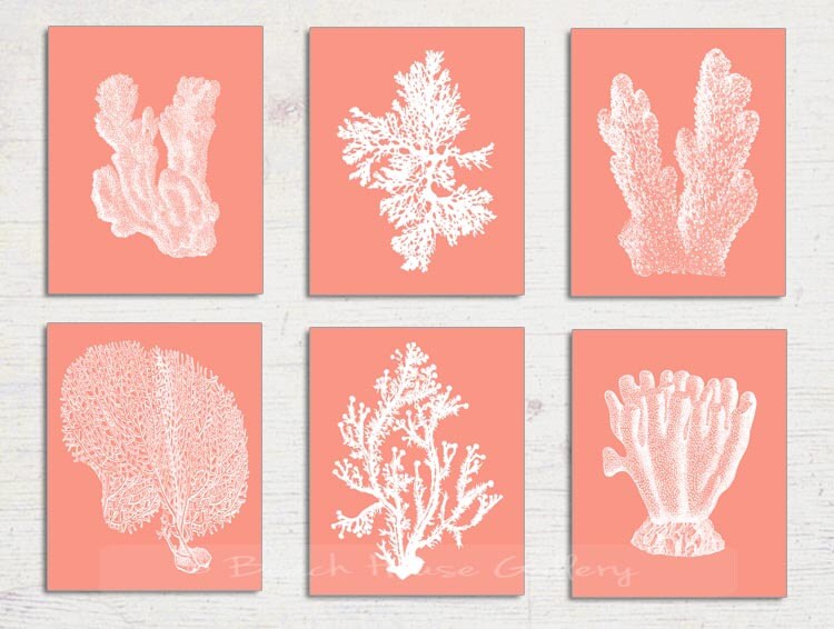 Coral Print Coral Prints Set of 6 Coral Wall Art Set of Six