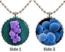 Popular items for bacteria jewelry on Etsy