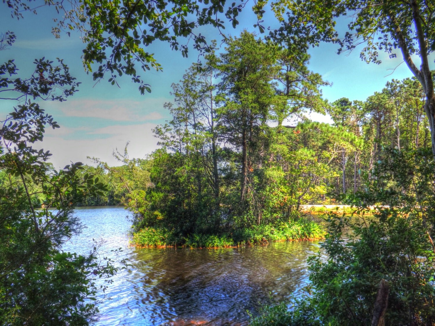 Island of small trees surrounded by water hdr image print