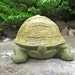 Turtle Statue Stretching Painted Concrete Garden Figure by ...