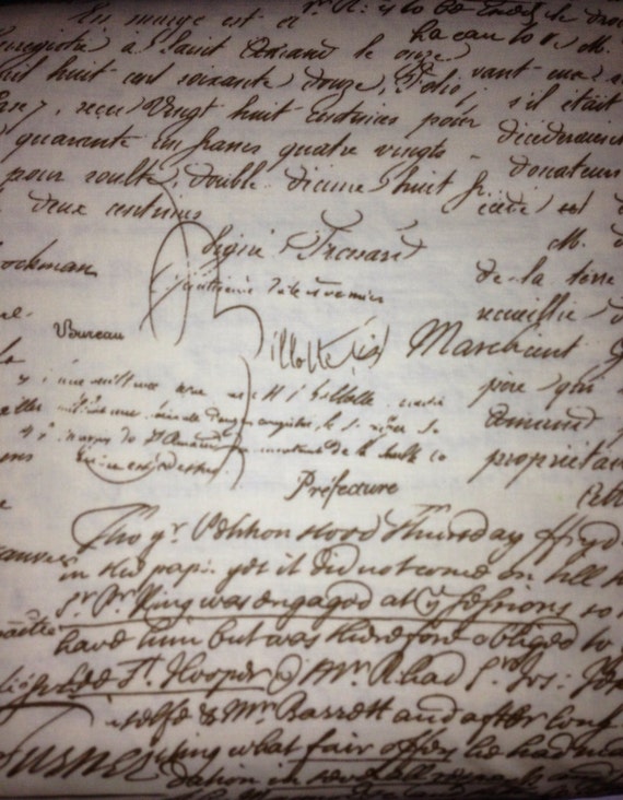 Old Script writing brown writing from Michael Miller