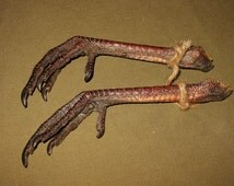 Popular items for turkey feet on Etsy