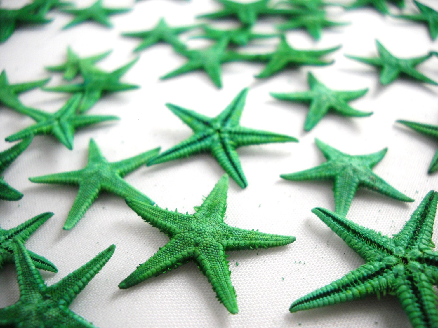 Multipack Emerald Green Tiny Starfish 1/2-1 bulk order