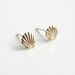Teeny Tiny Gold Seashell Earrings. Small Scallop Shell. Beach