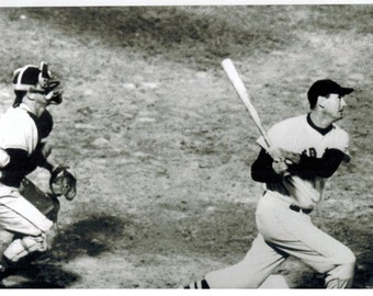 Popular items for ted williams on Etsy